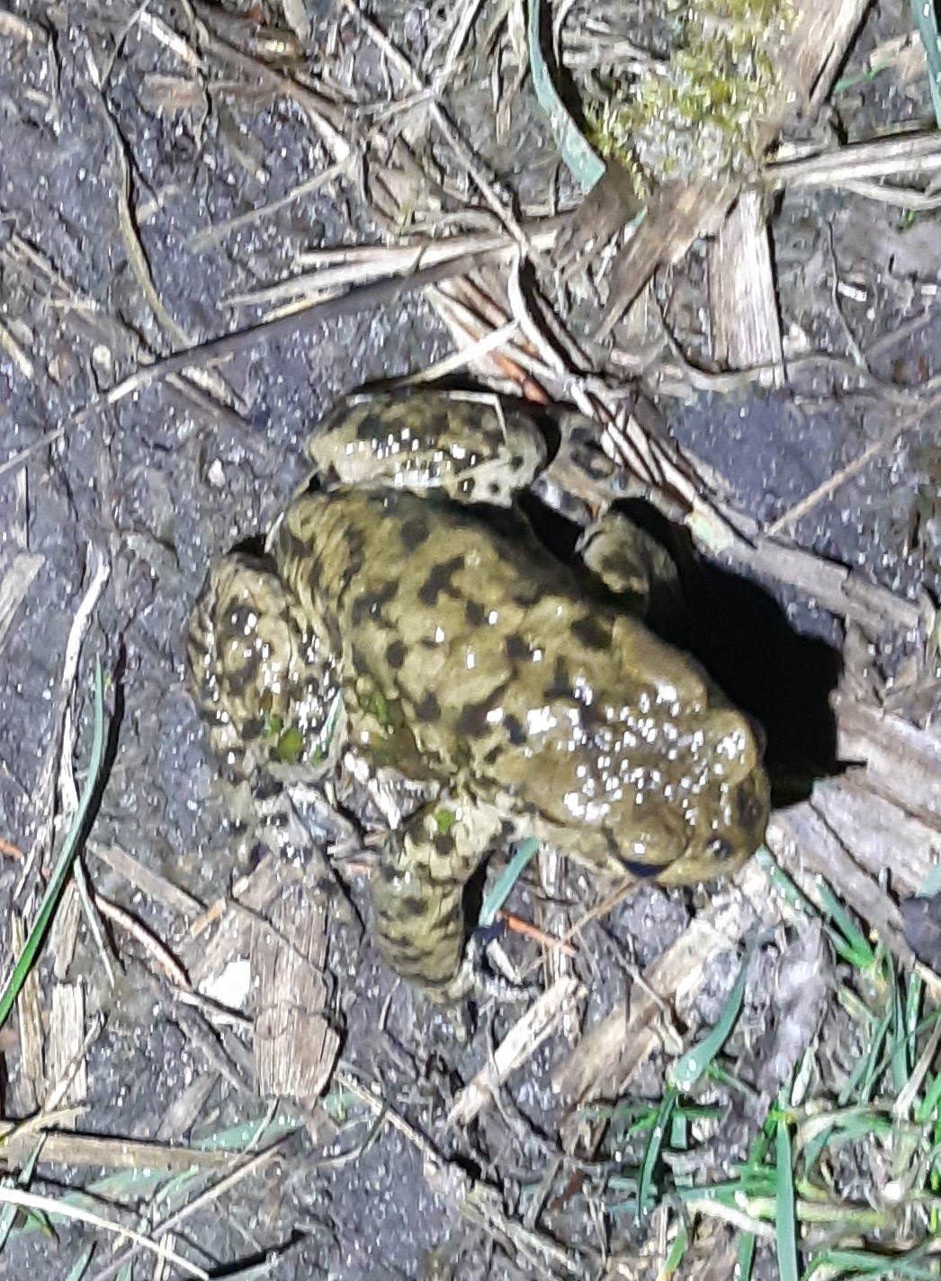 Når man møder komfortzonens grænse – Mette og Karen på tur